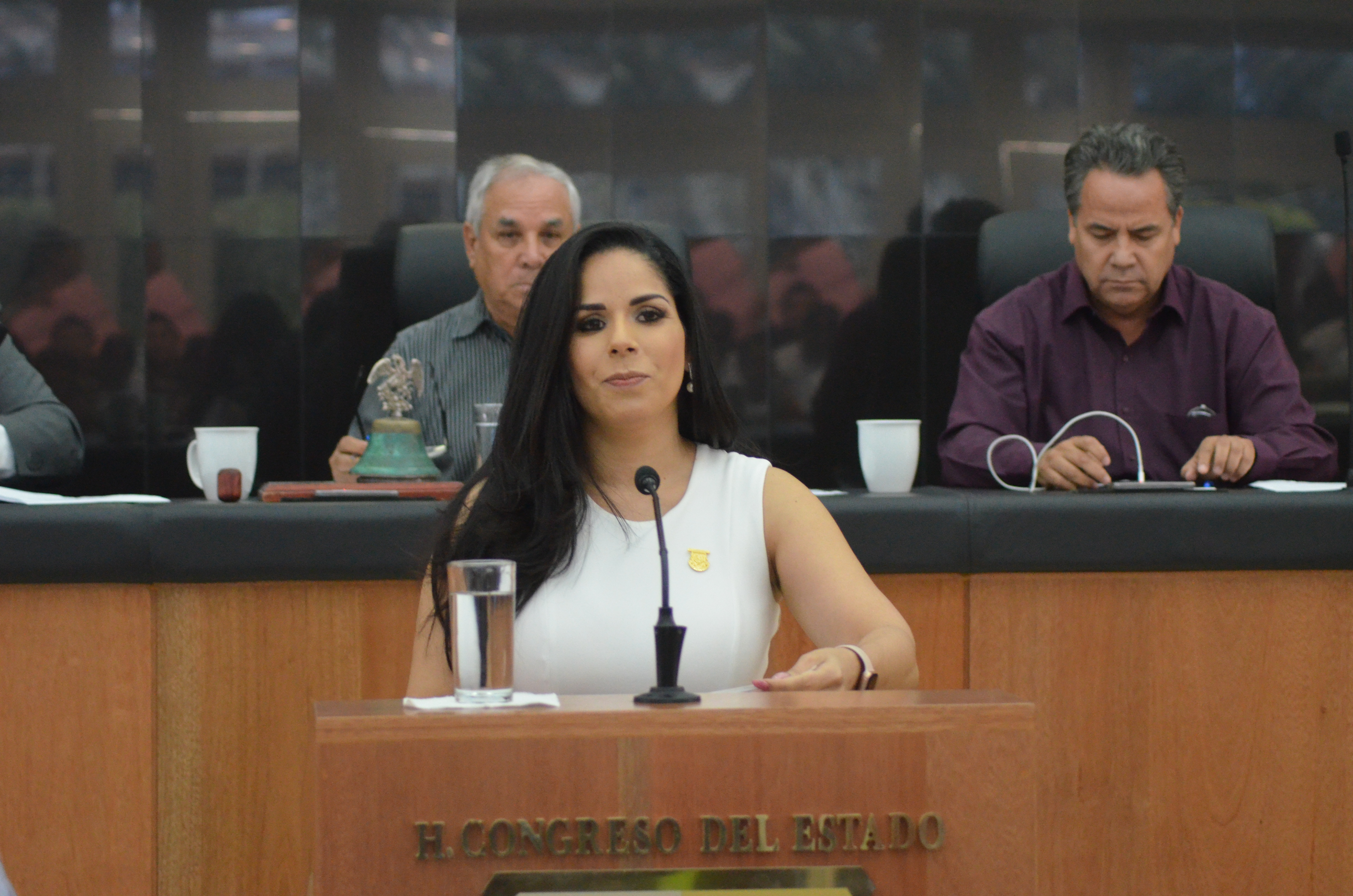 Solicita Diputada Perla Flores Leyva que Gobierno del Estado cobre ...